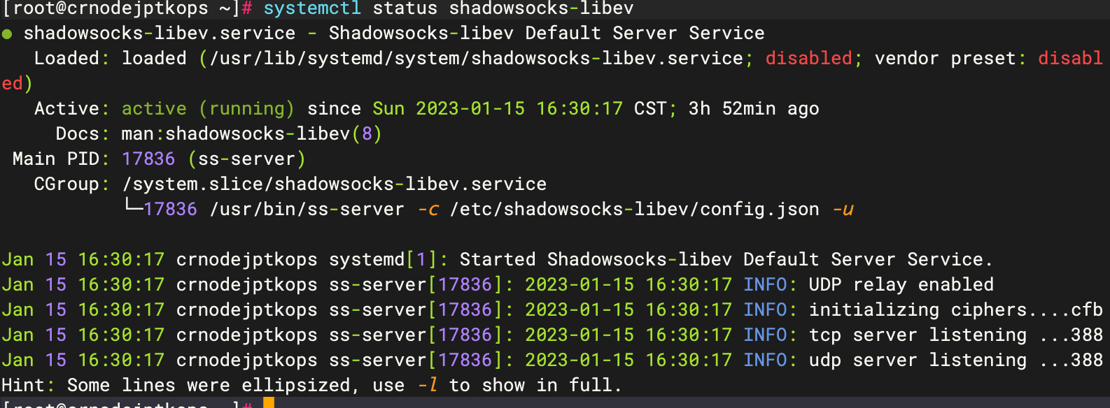测试文章 - 村长在路上